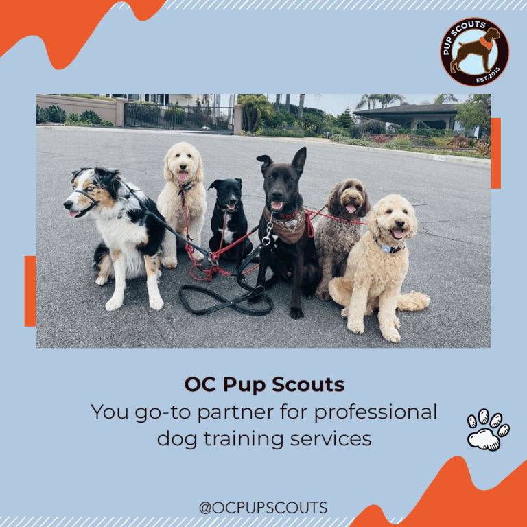 Professional Dog Trainers | Tips on Socialization | OC Pup Scouts
