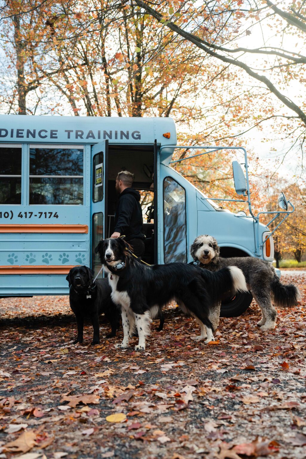 10 Puppy Training Tips Every New Dog Owner Should Know - OC Pup Scouts